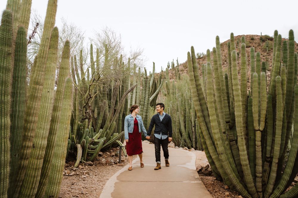 Mikayla + Jimmy — Desert Botanical Garden Engagement Photos - Andrea ...