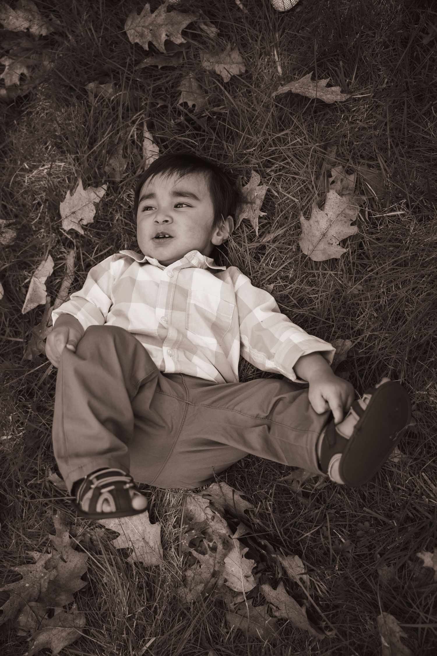 Prime Photography, LLC