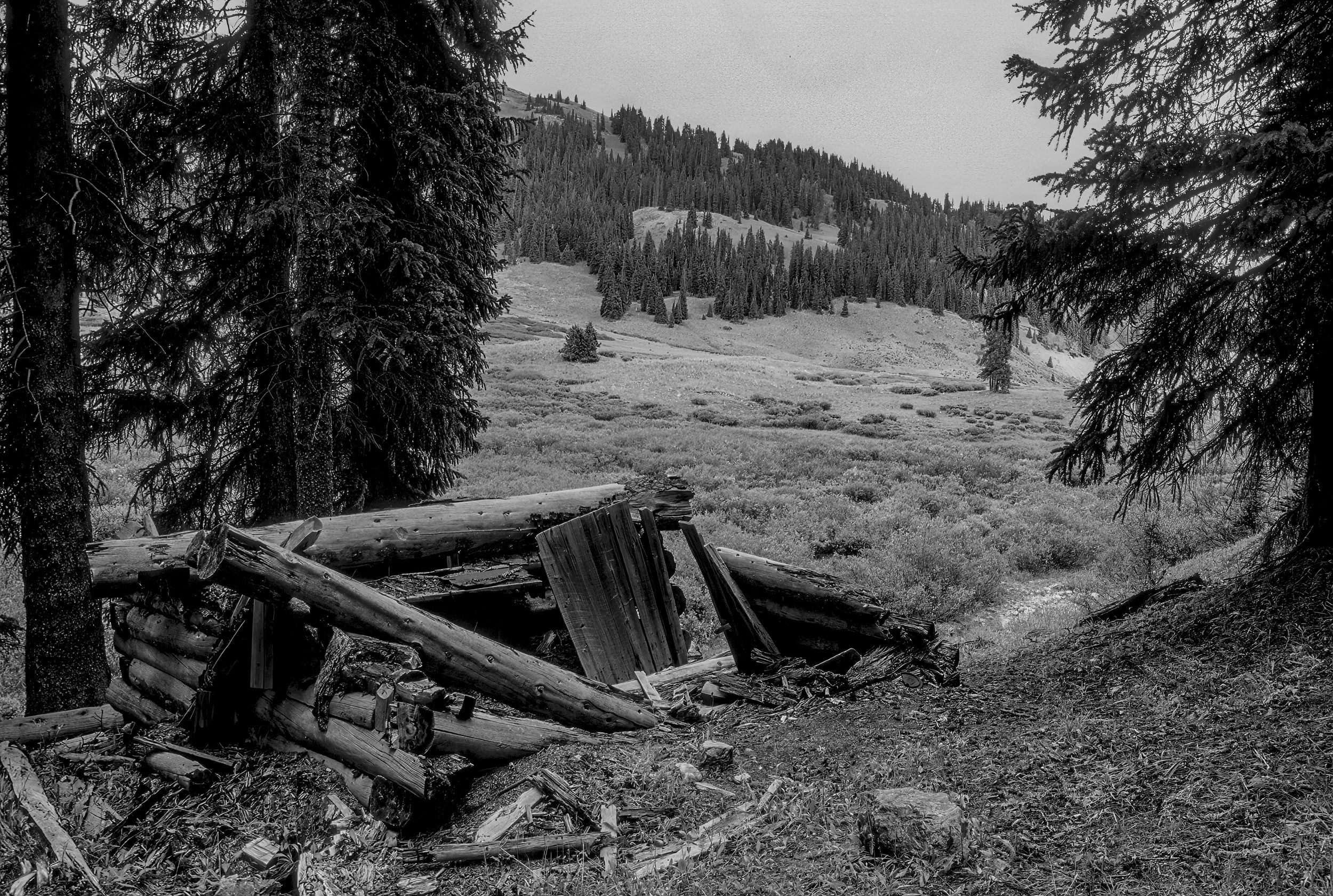 Beartown - Return to Timberline