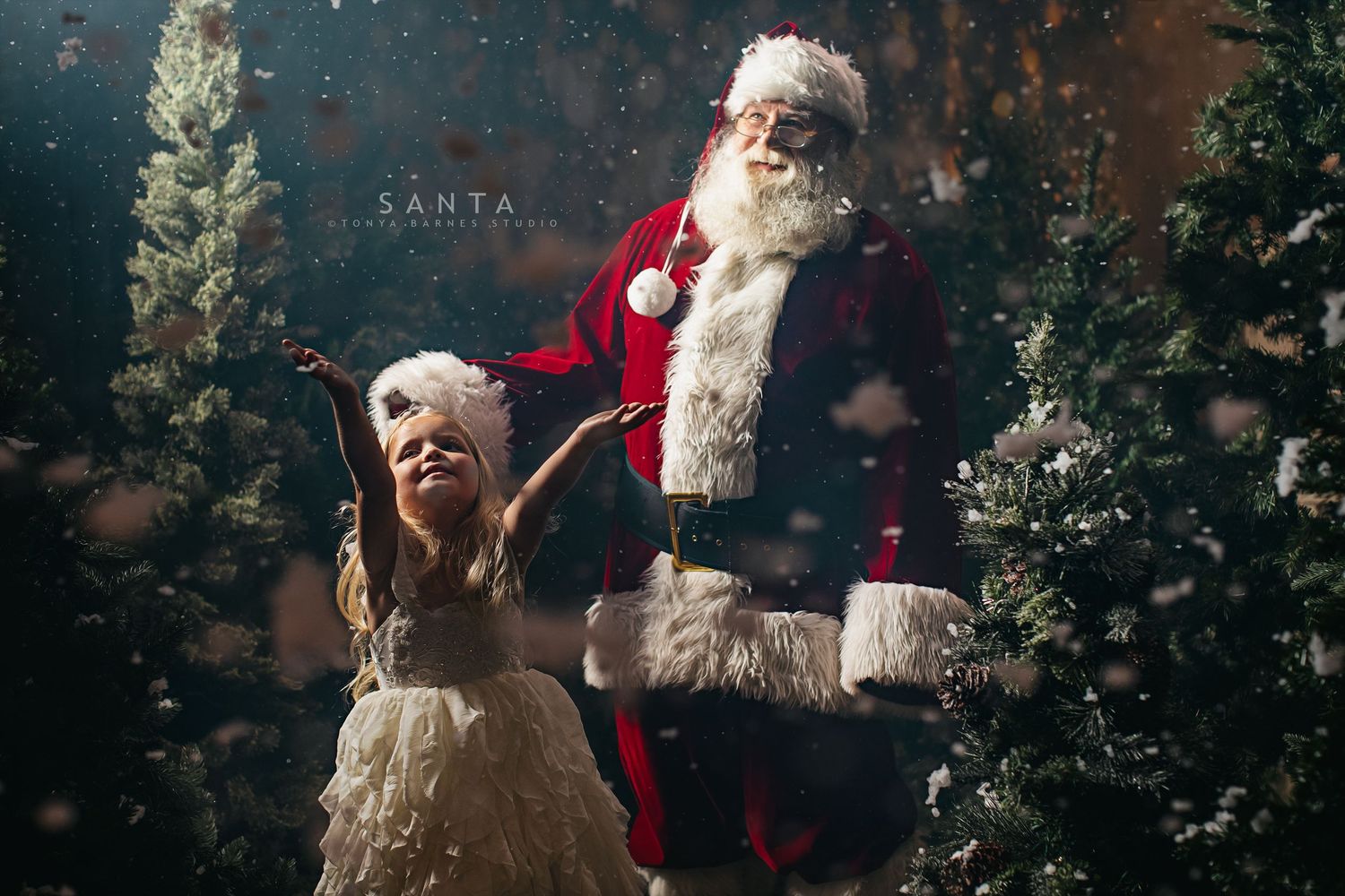 UPCOMING EVENTS - Tonya Barnes Photography