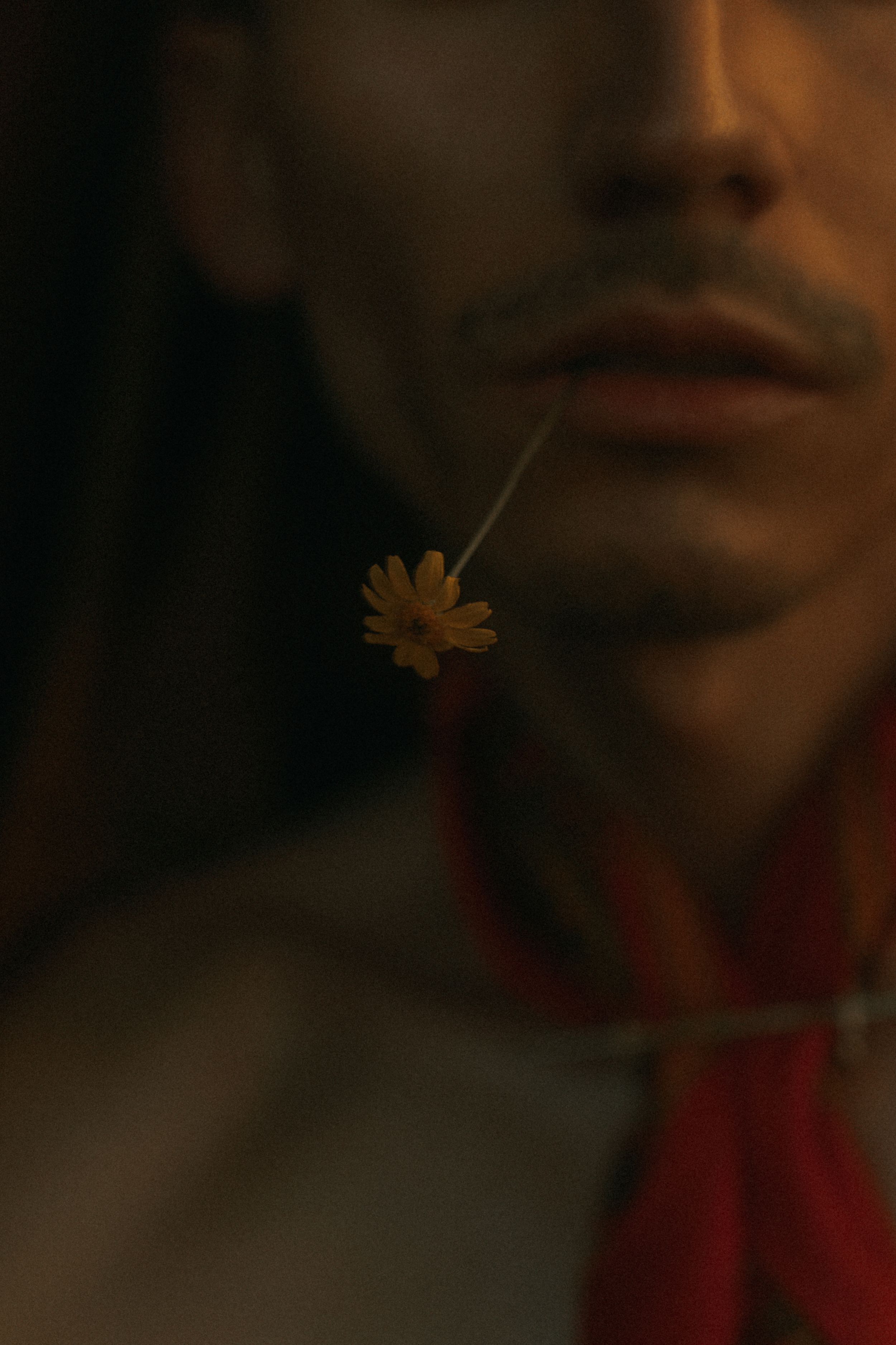 Editorial - Sebastian Isaac Photography