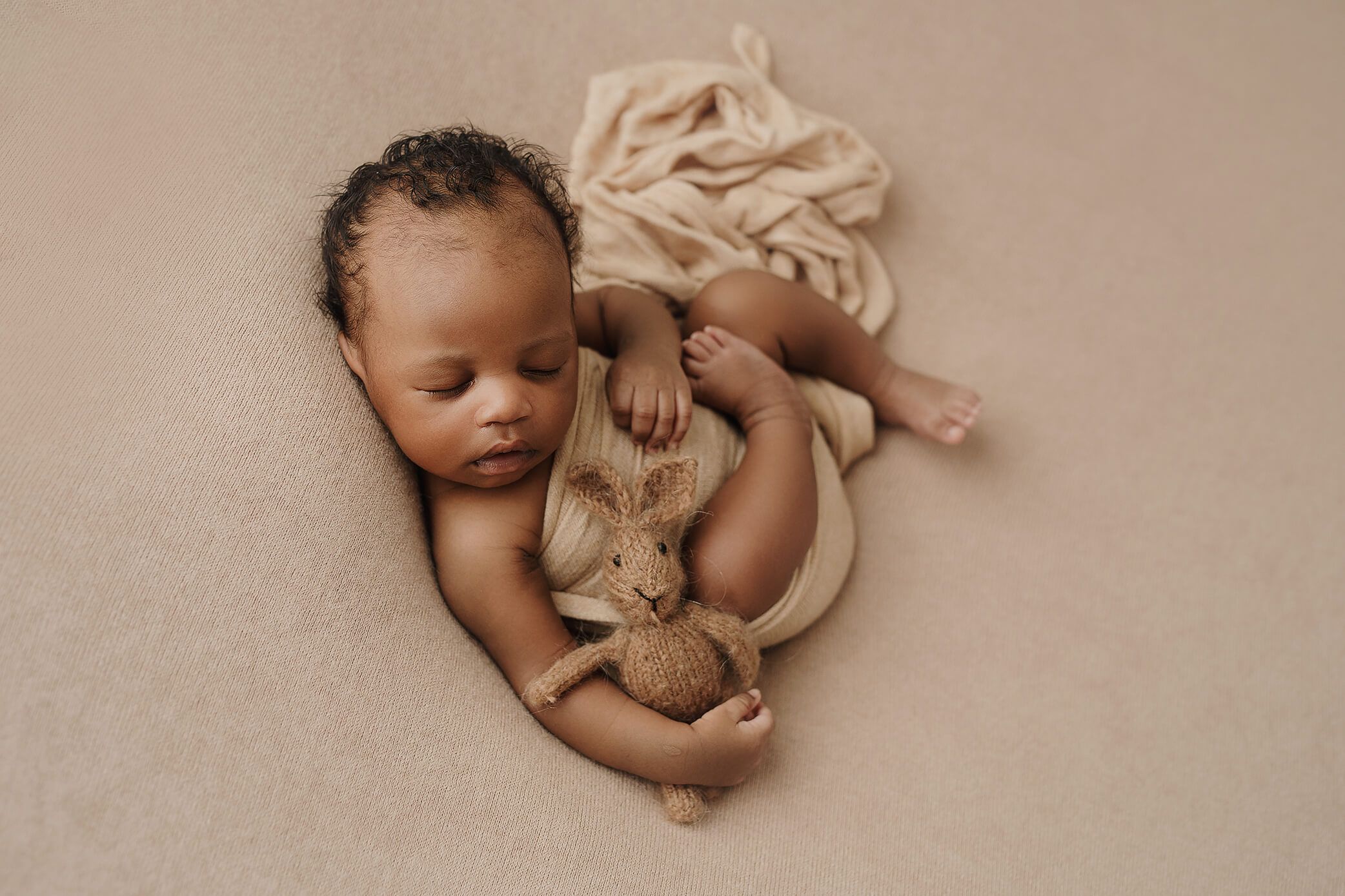 Little Brown Rabbit Photography