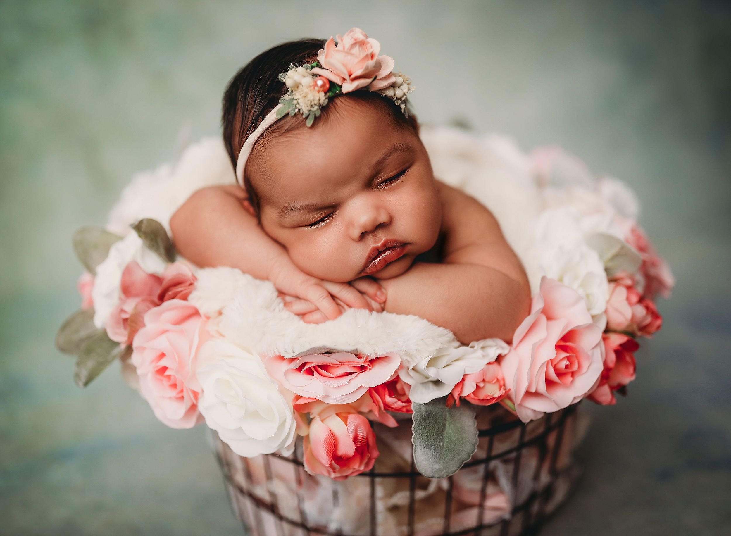 Newborn Pricing - Maxwell Studios by Megan Leggins