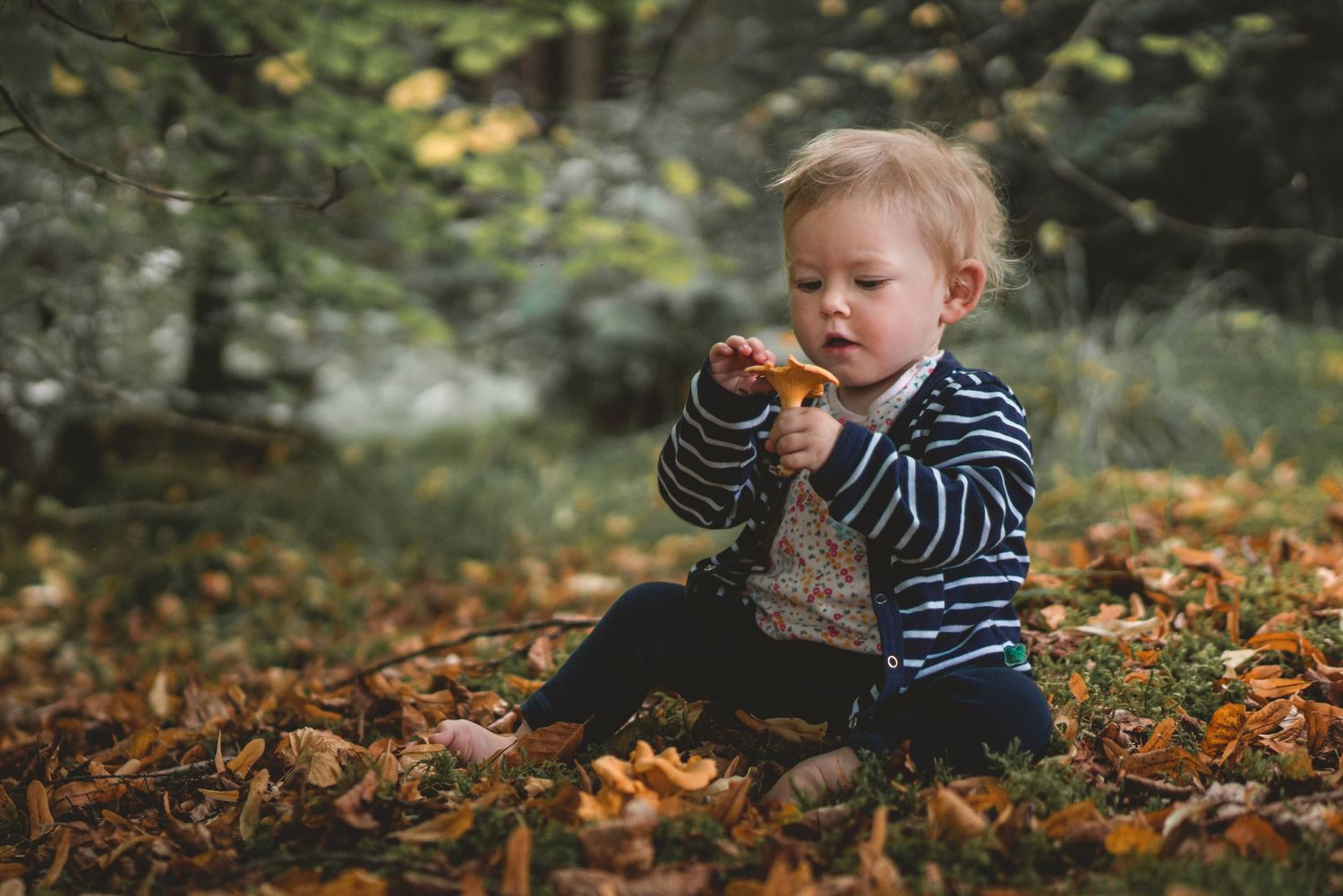 The Grizzly Forager: The Definitive Guide to Foraging with Kids
