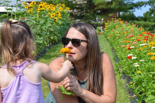 Flower Farm Mini Sessions | Weber Photography | Franksville, WI - Weber ...