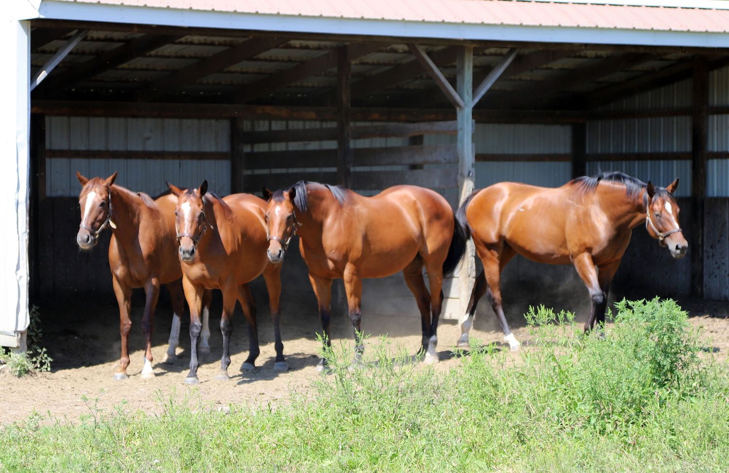 Services - Foggy Bottom Farms