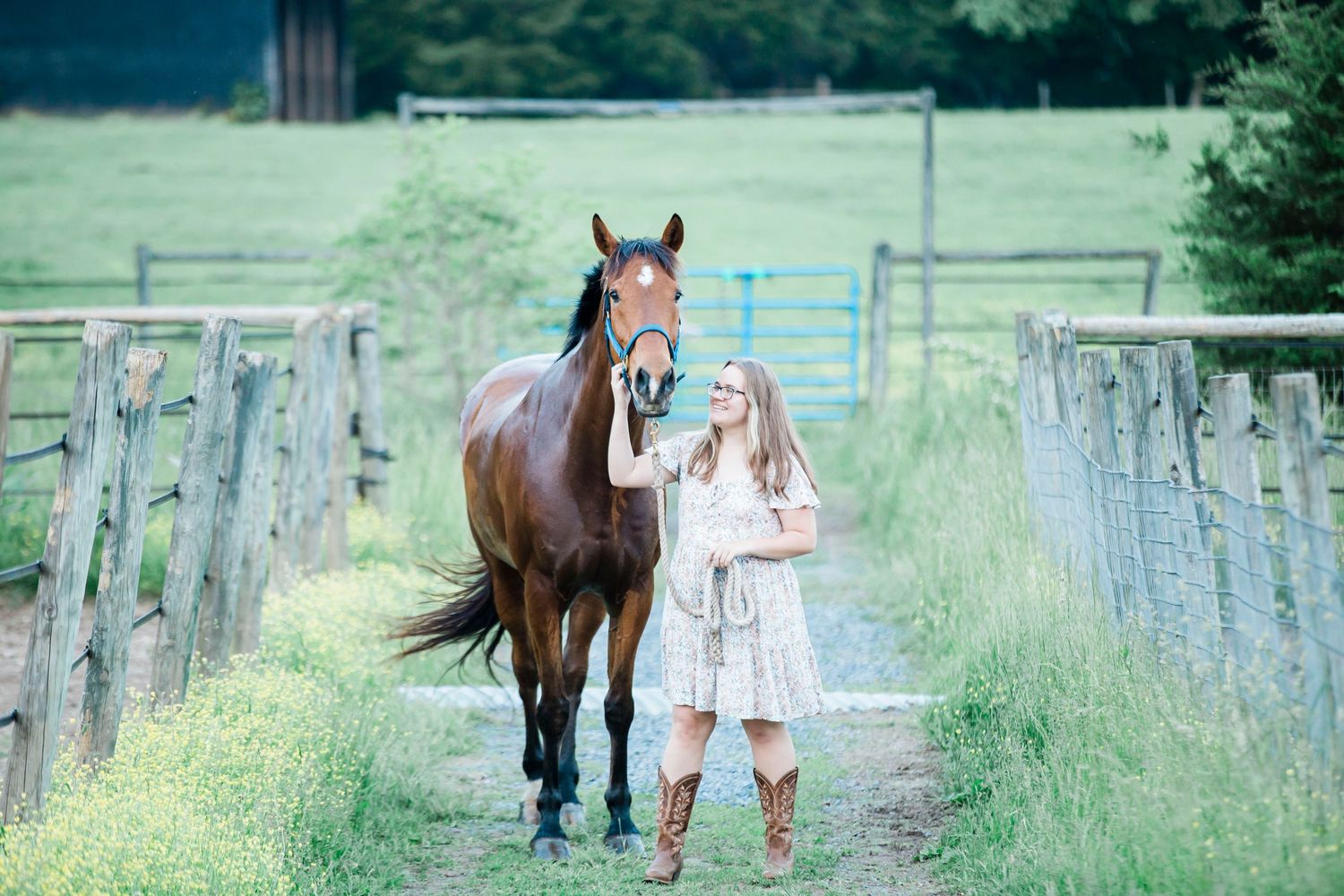 About - Unbridled Equine Photography