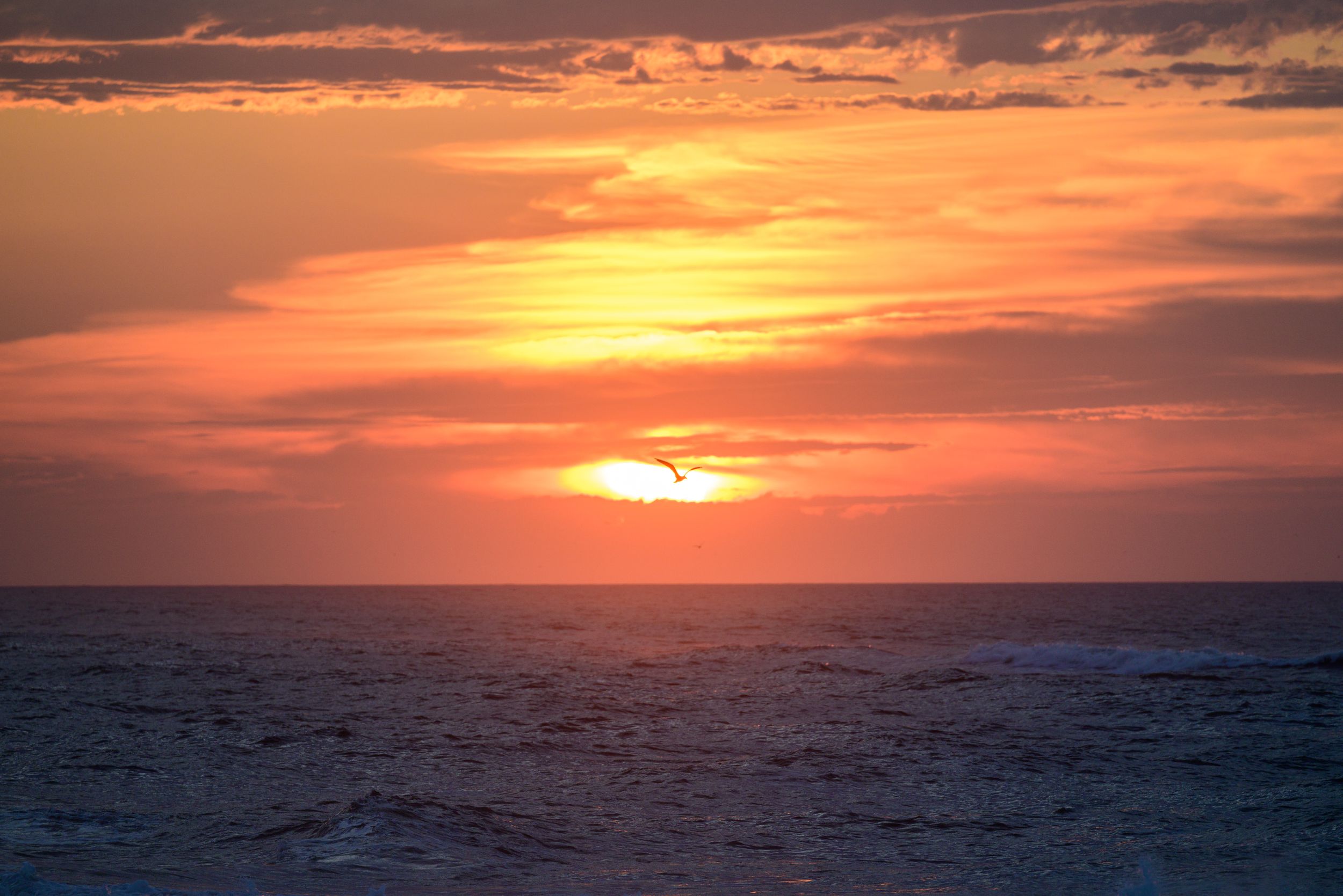 Scapes - Jimmy Hayden Photography