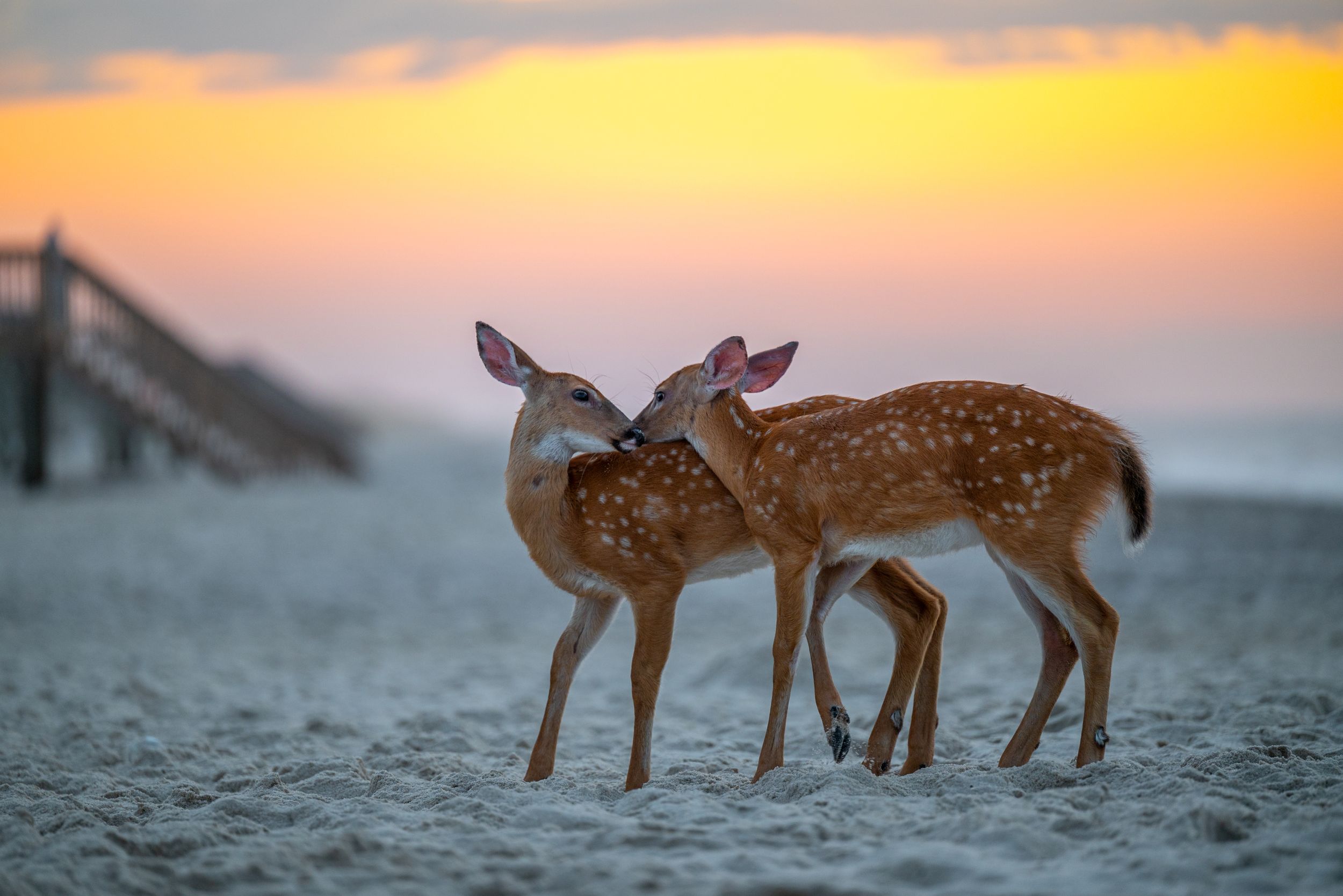 Scapes - Jimmy Hayden Photography