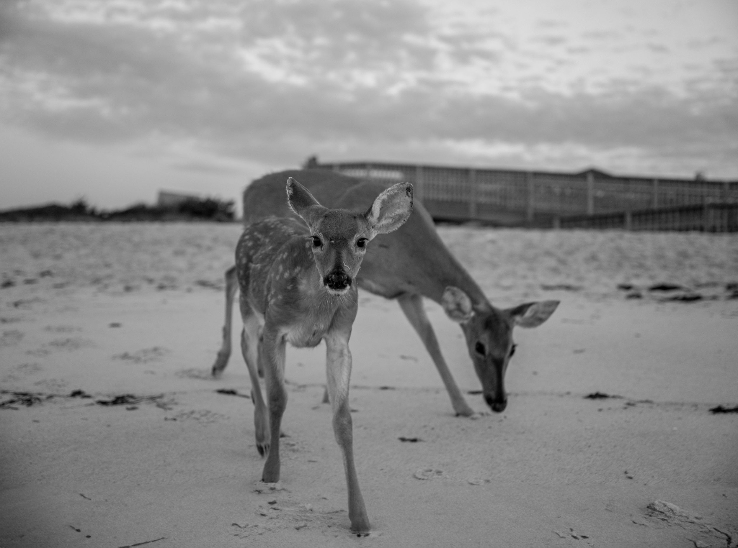 Scapes - Jimmy Hayden Photography