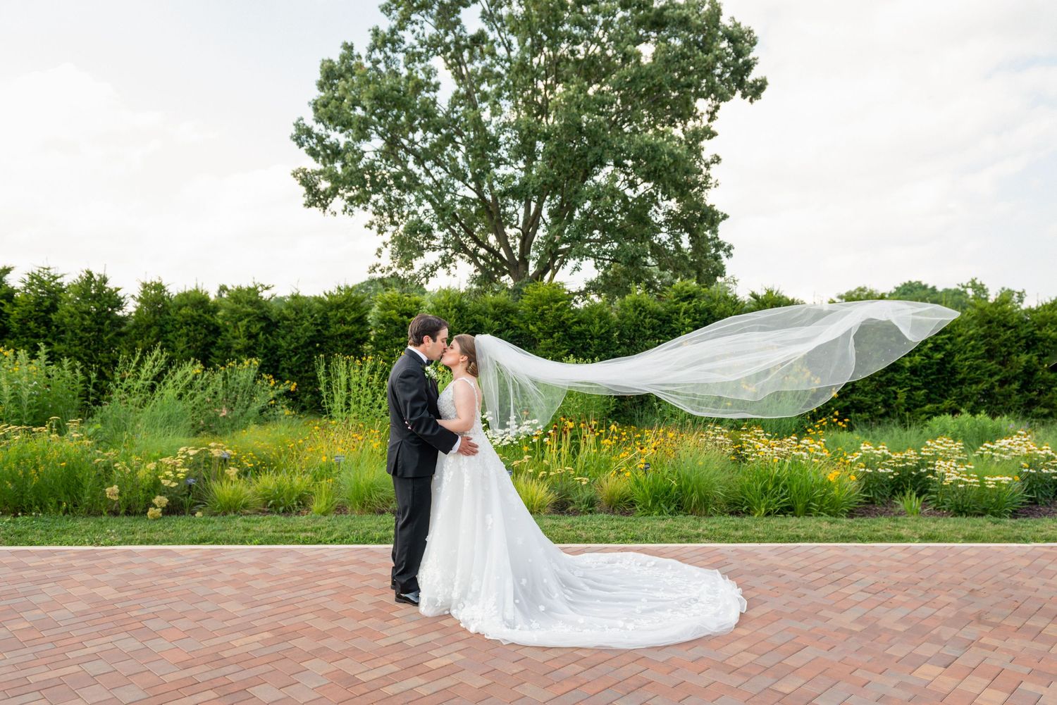 Catigny Park Wheaton, IL Wedding - Top Wedding Photos & Video ...