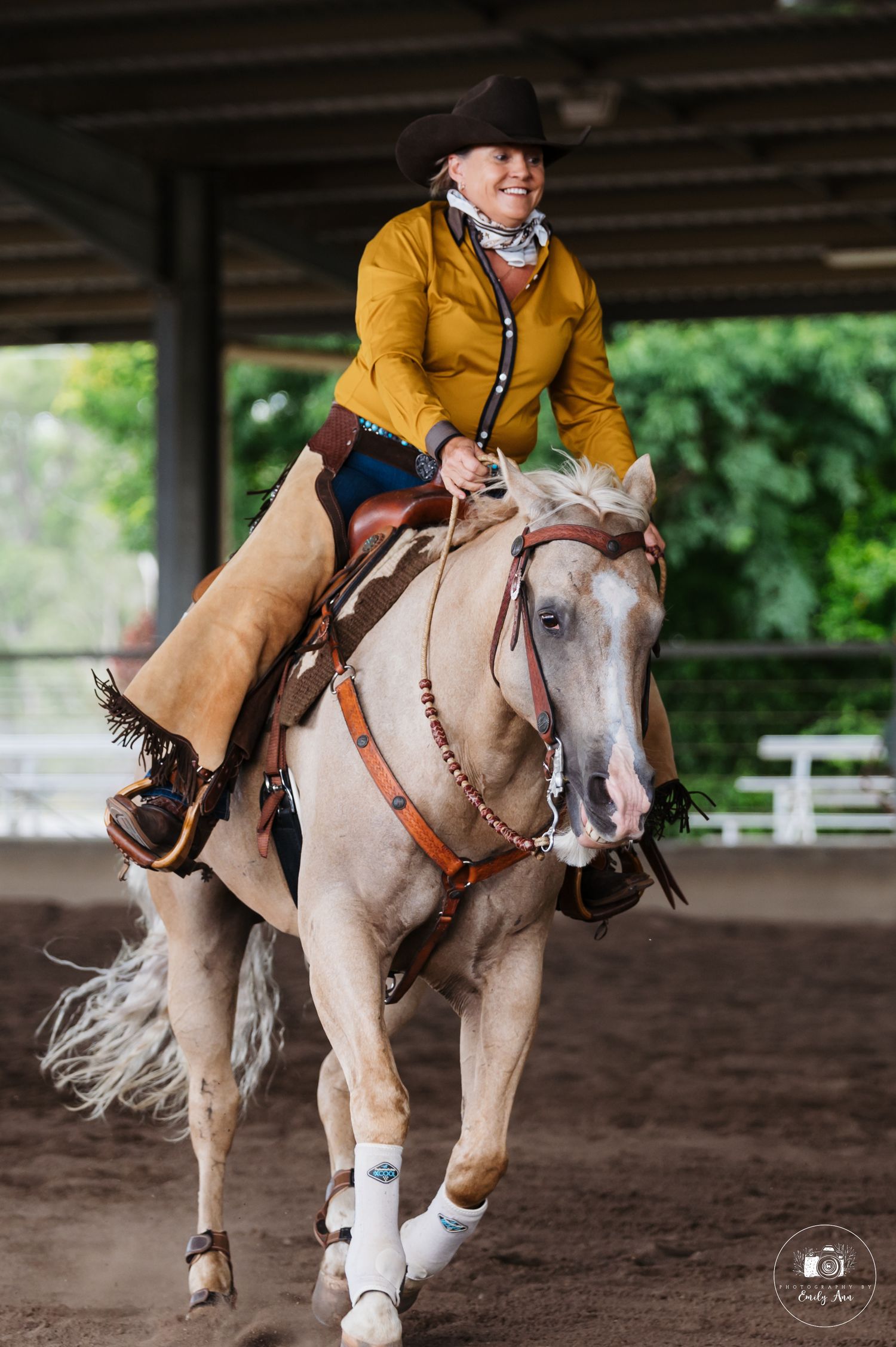 Equine - Photography by Emily Ann - Gladstone & CQ Photographer