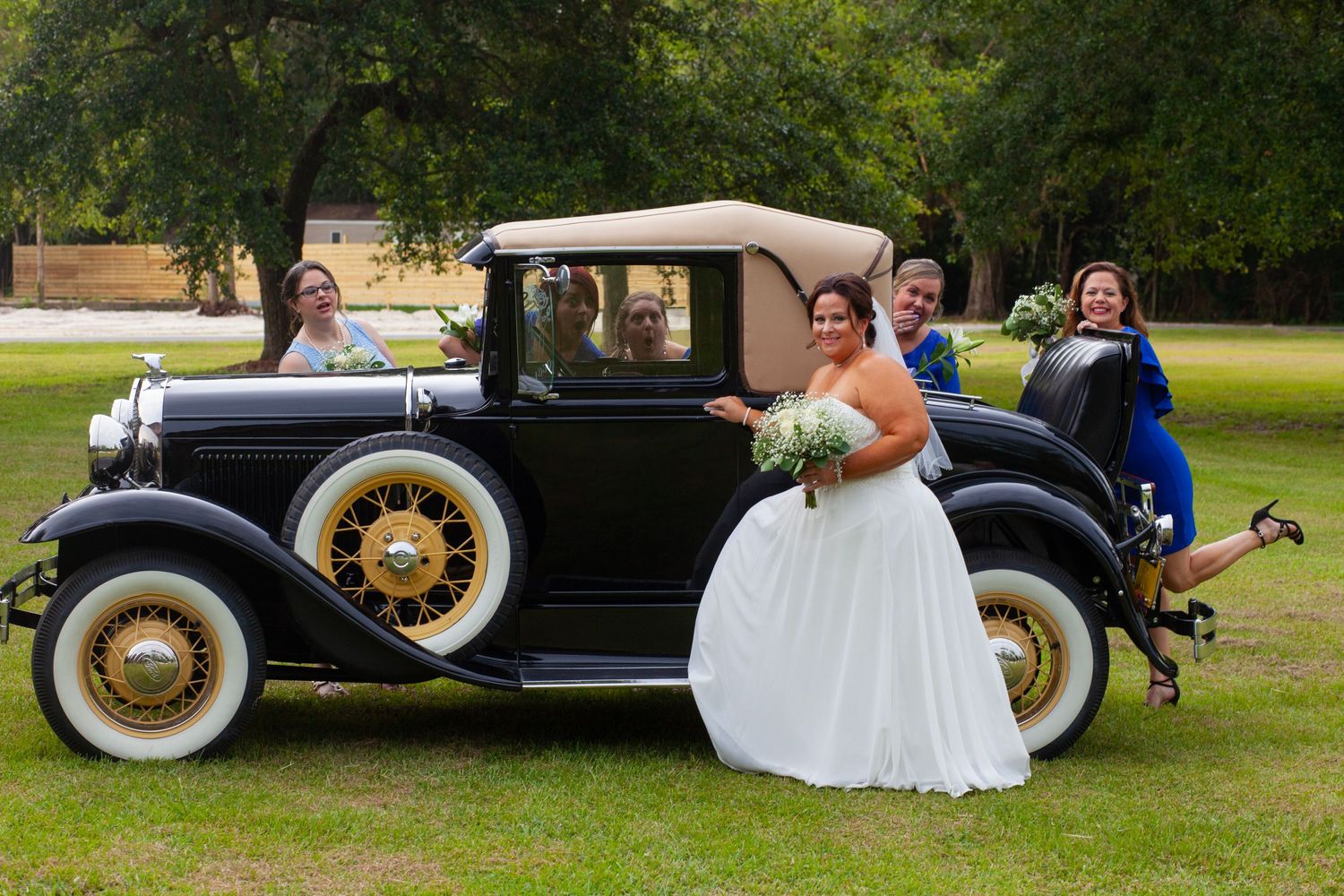 Investment - Amy Warr Photo