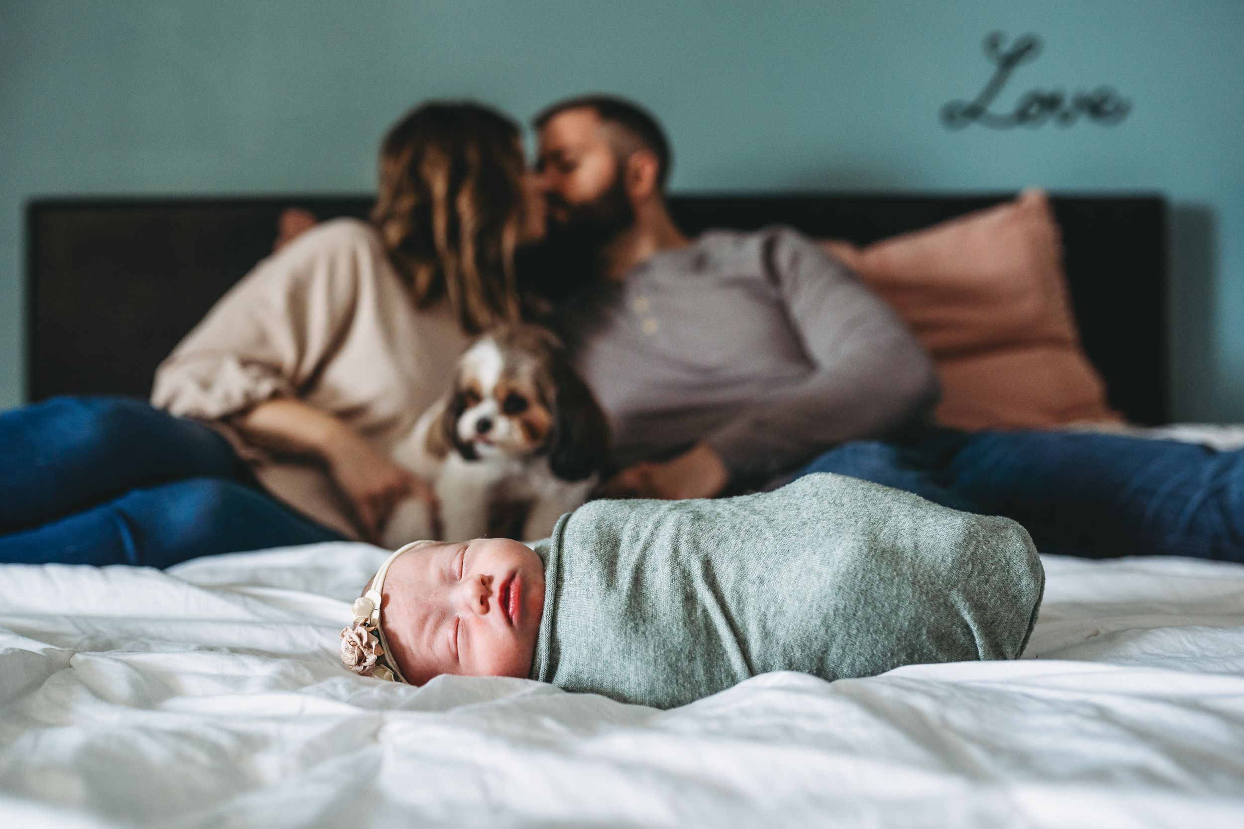 Family, Newborn, Couple Photography - Donna Fazio - Photographer