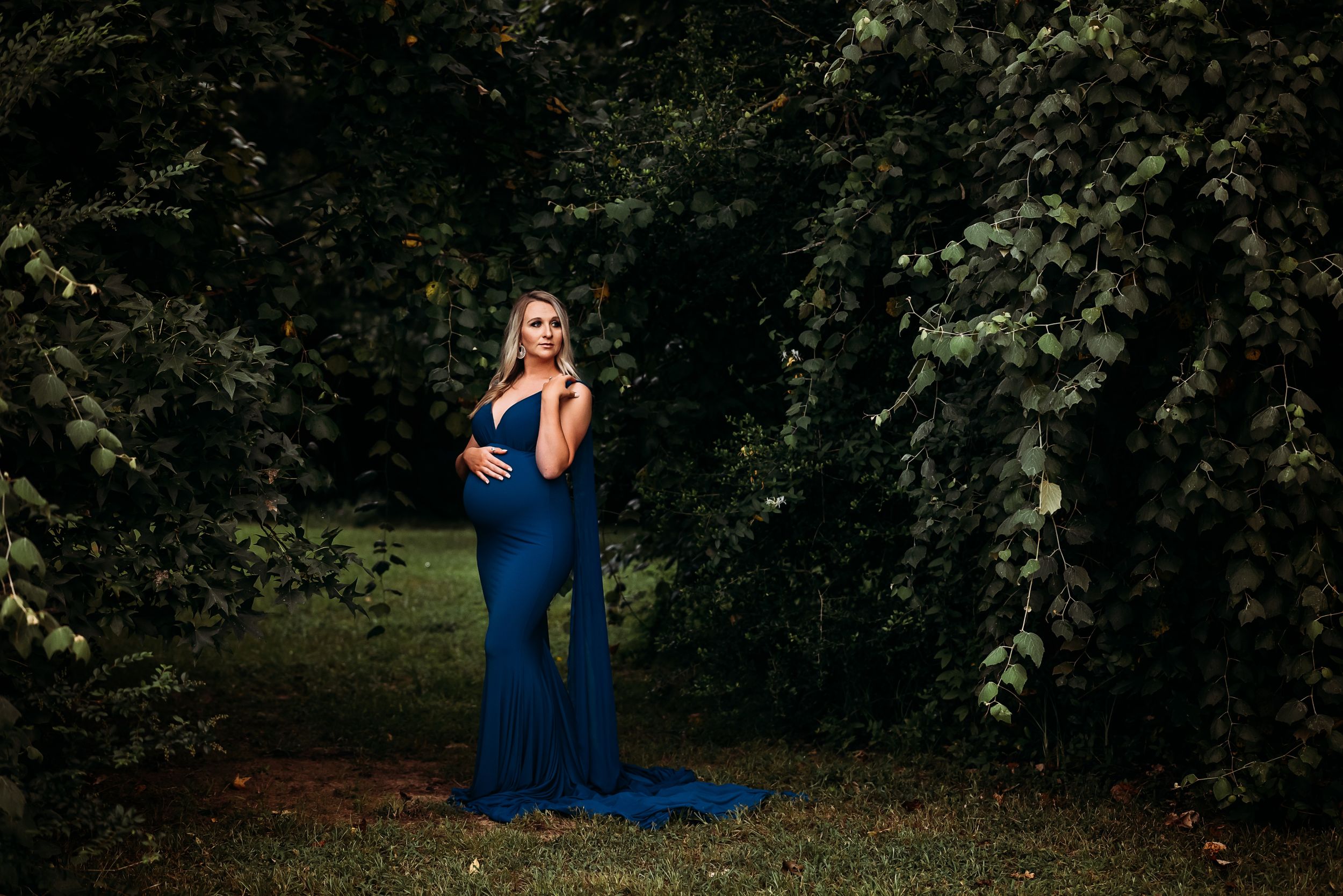 Alayne Wade Photography