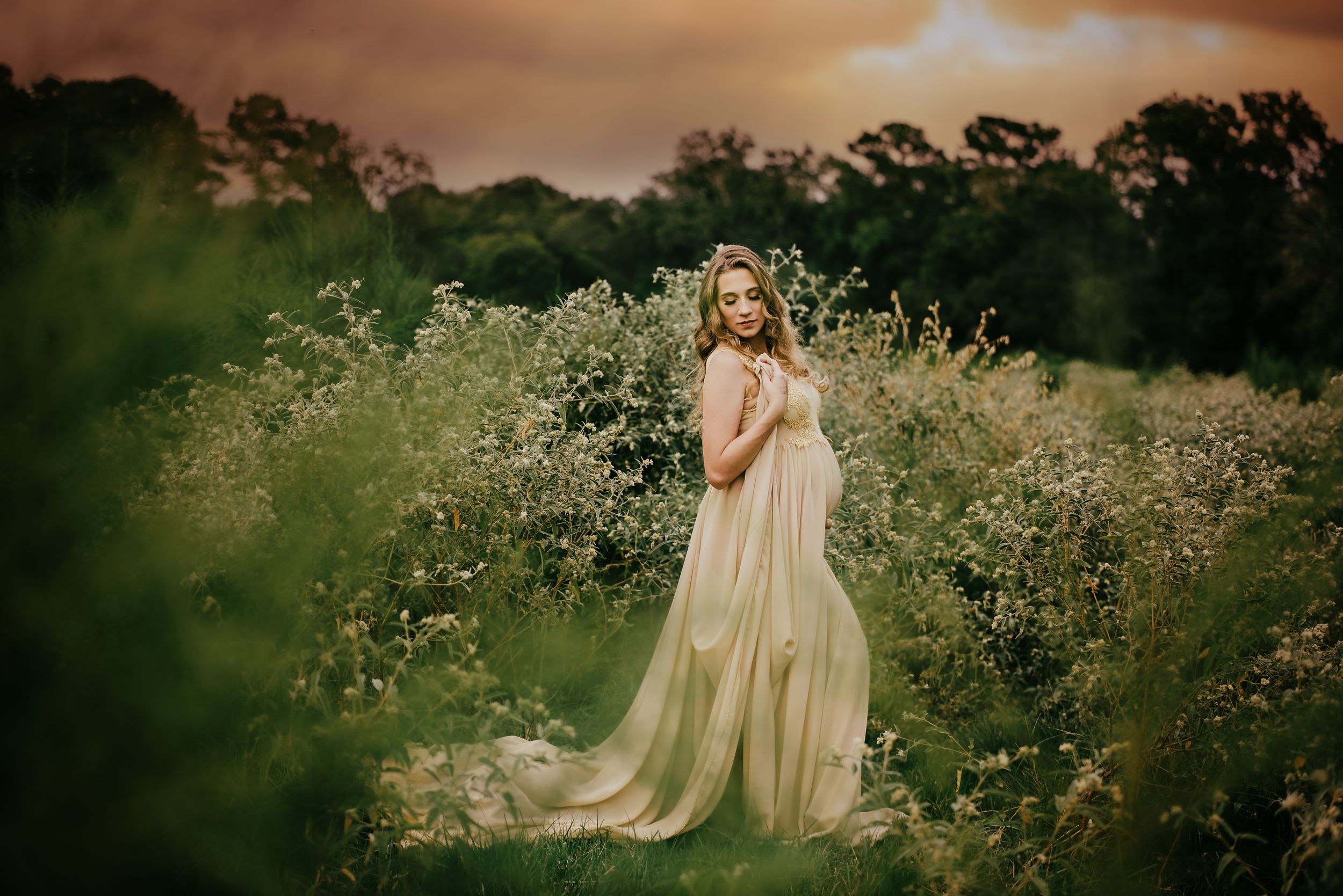 Alayne Wade Photography