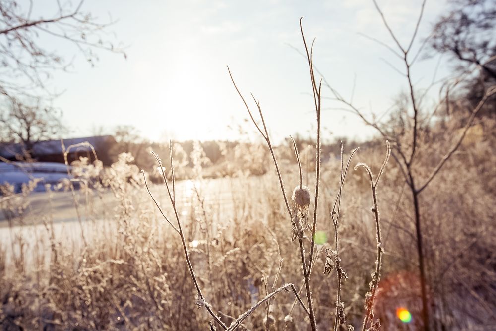 Photography Terms and Conditions - Julia Toms Photography