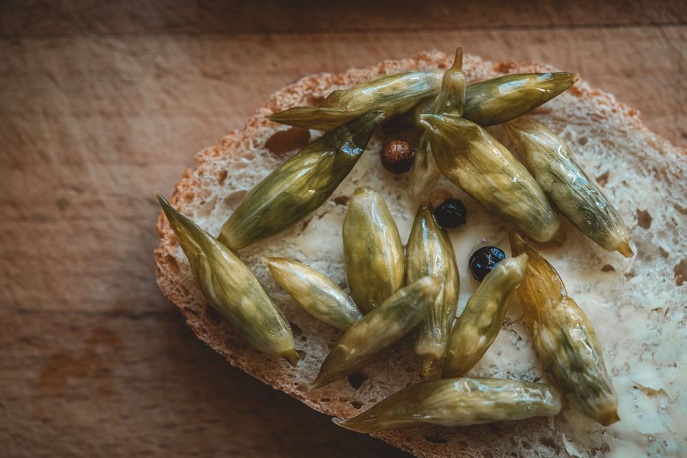 Recipes: Pickled Wild Garlic Buds - The Grizzly Forager: The Definitive ...