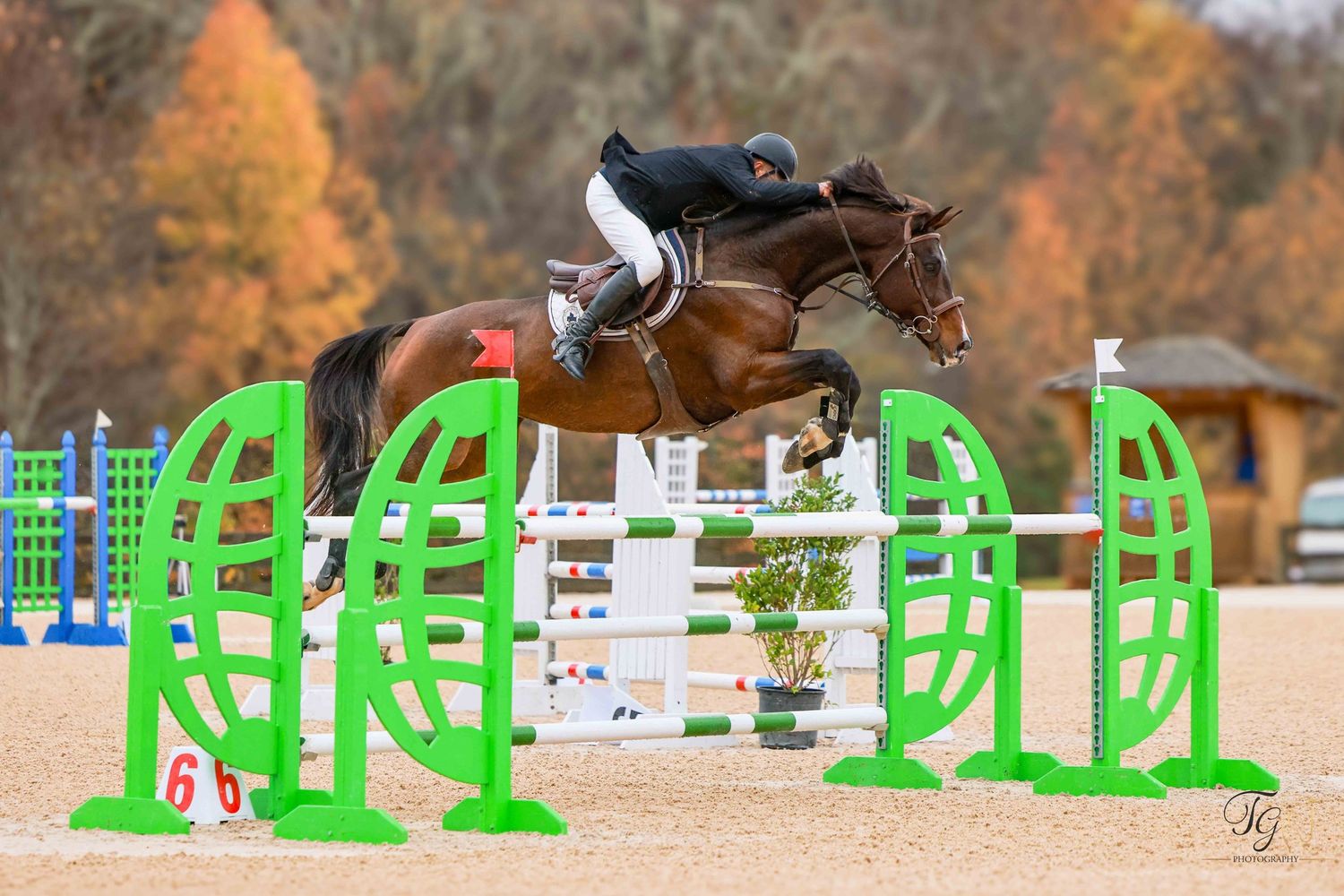 Tyler Graham Photography