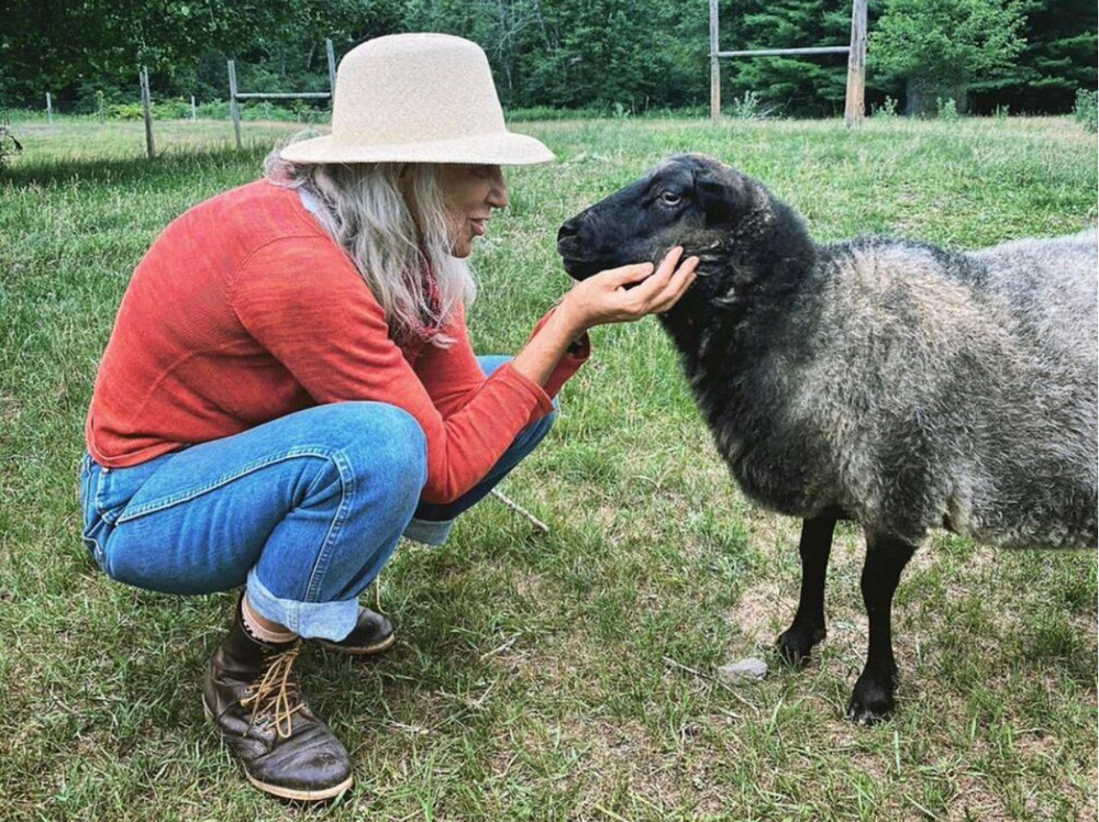 About - Valerie Shaff