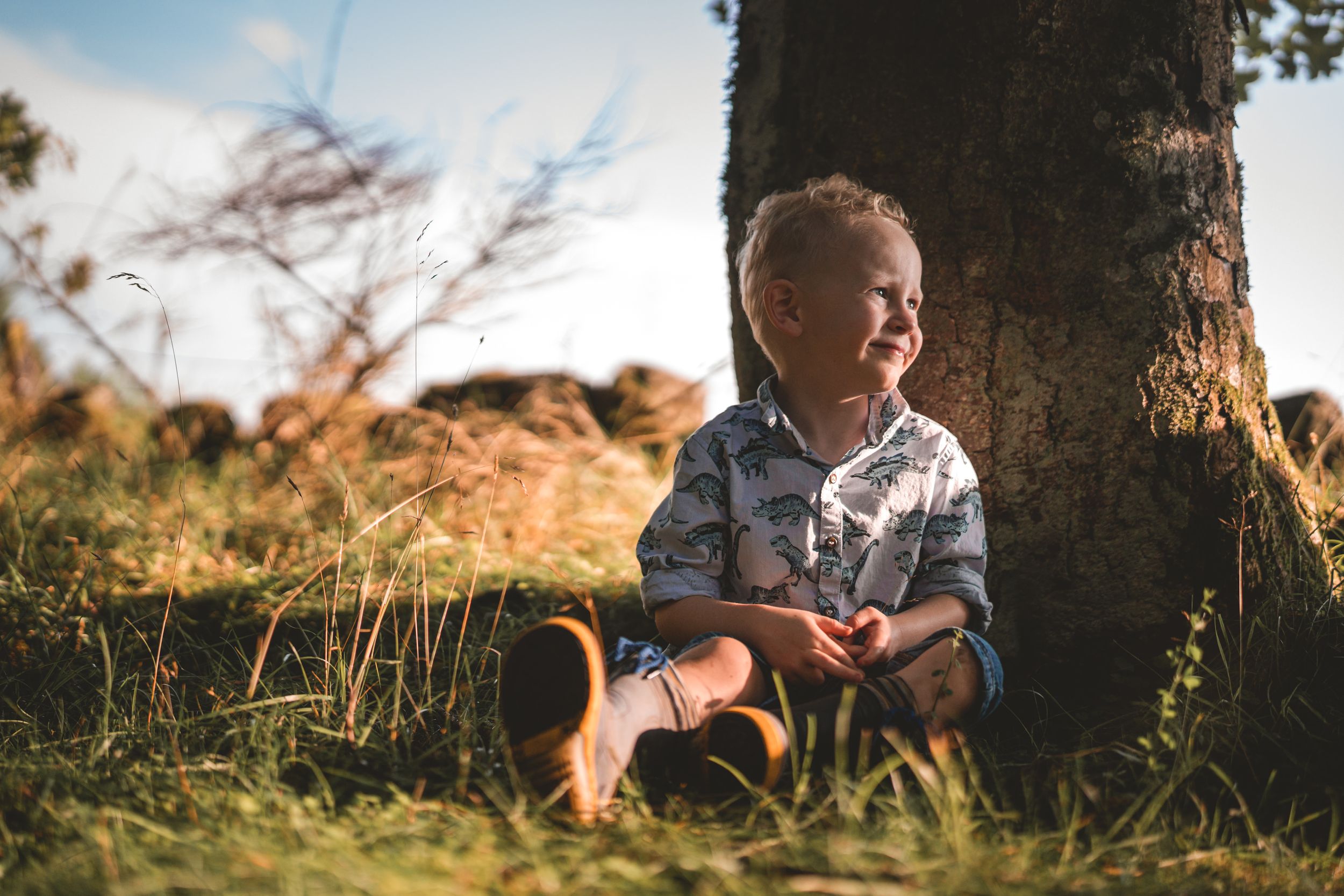 Foraging: All You Need To Know - The Grizzly Forager: The Definitive ...
