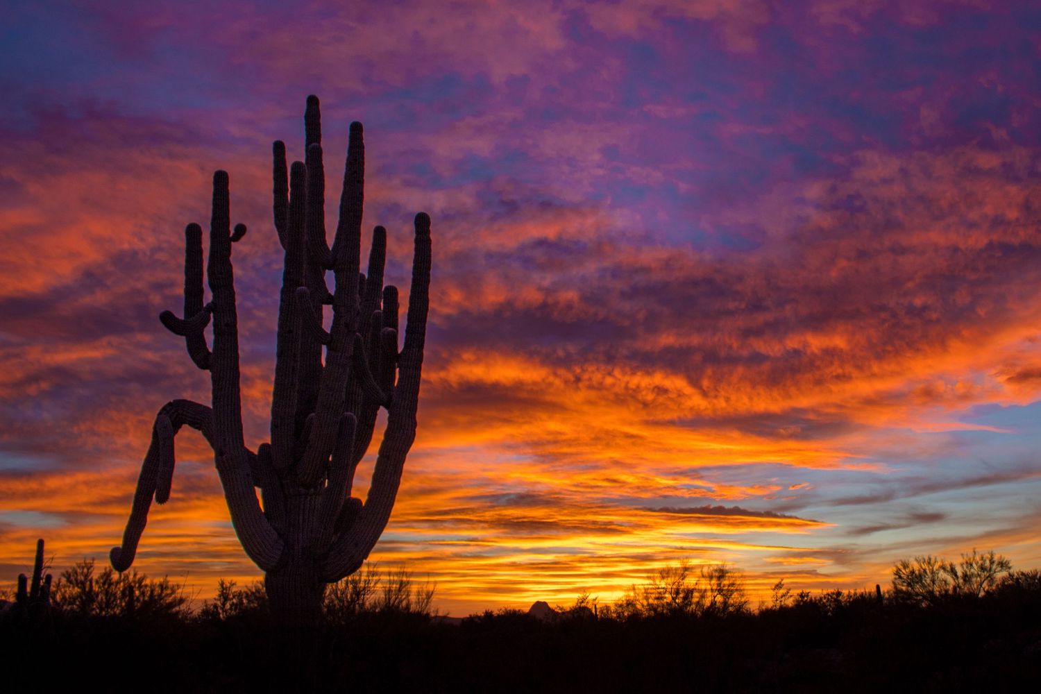 Josh Butcher Photography