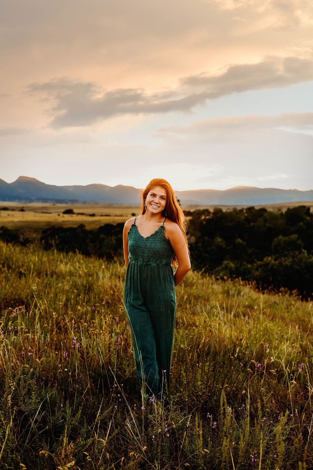 Wandering Willow Imagery