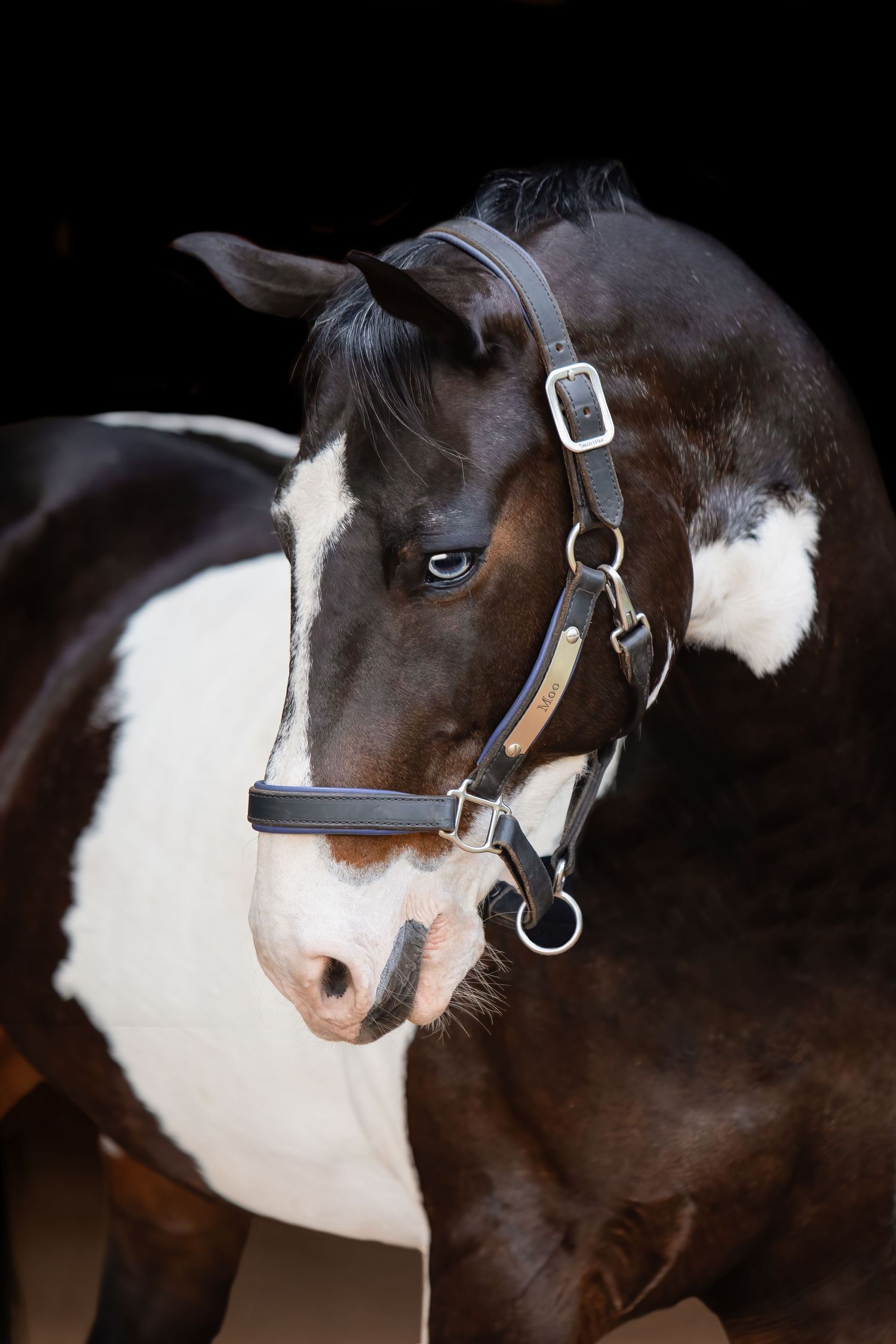 Fine Art Session - Avery Fletcher Photography