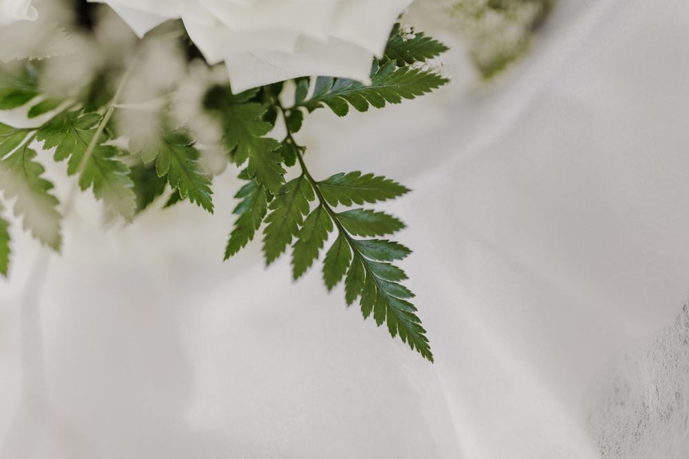 Kevin & Nicole - Let's Capture Media