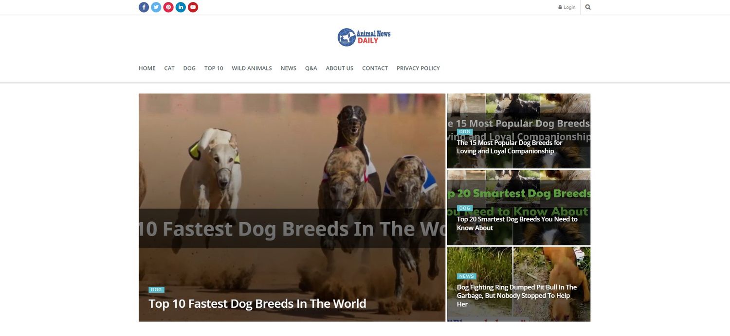 Animal News 24 - Latest Updates on Wildlife, Pets, and More