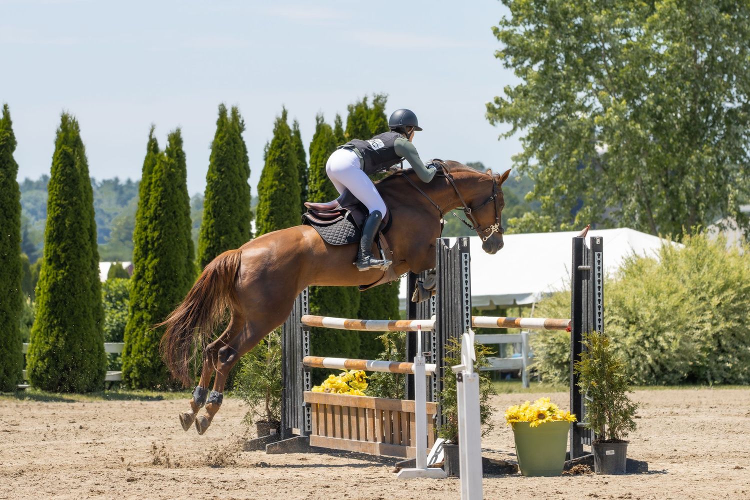 Horse Shows - Meredith Marie Photography