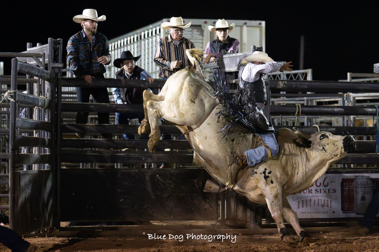 Copy - Blue Dog Photography