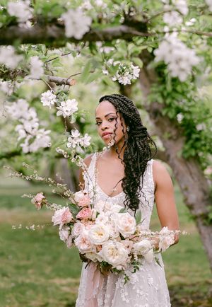 Svetlana Sauer Photography