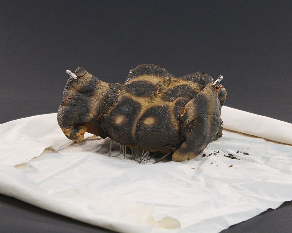 Animatronic Gremlin Movie Prop - The Gremlins Museum