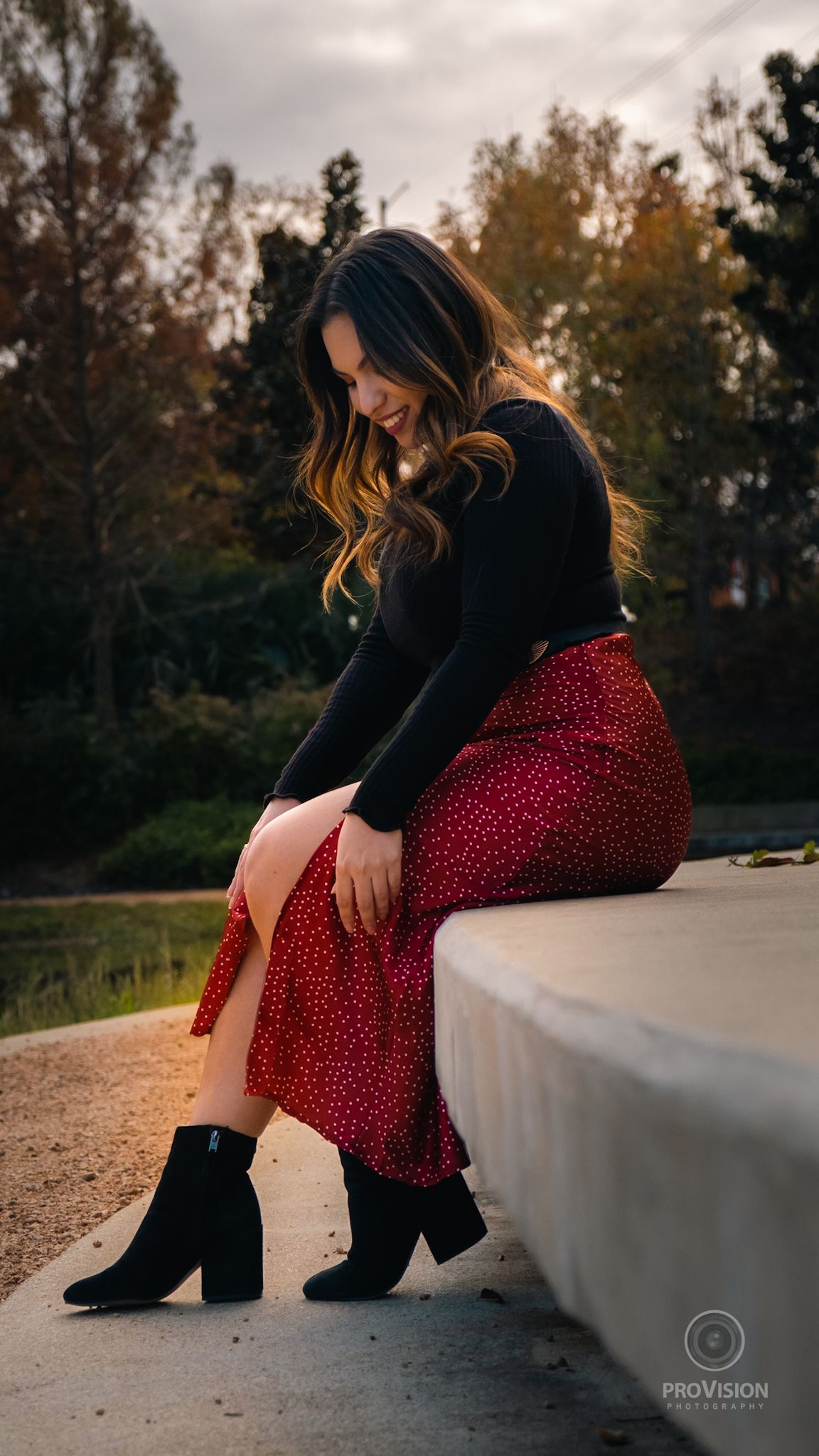 Portfolio - ProVision