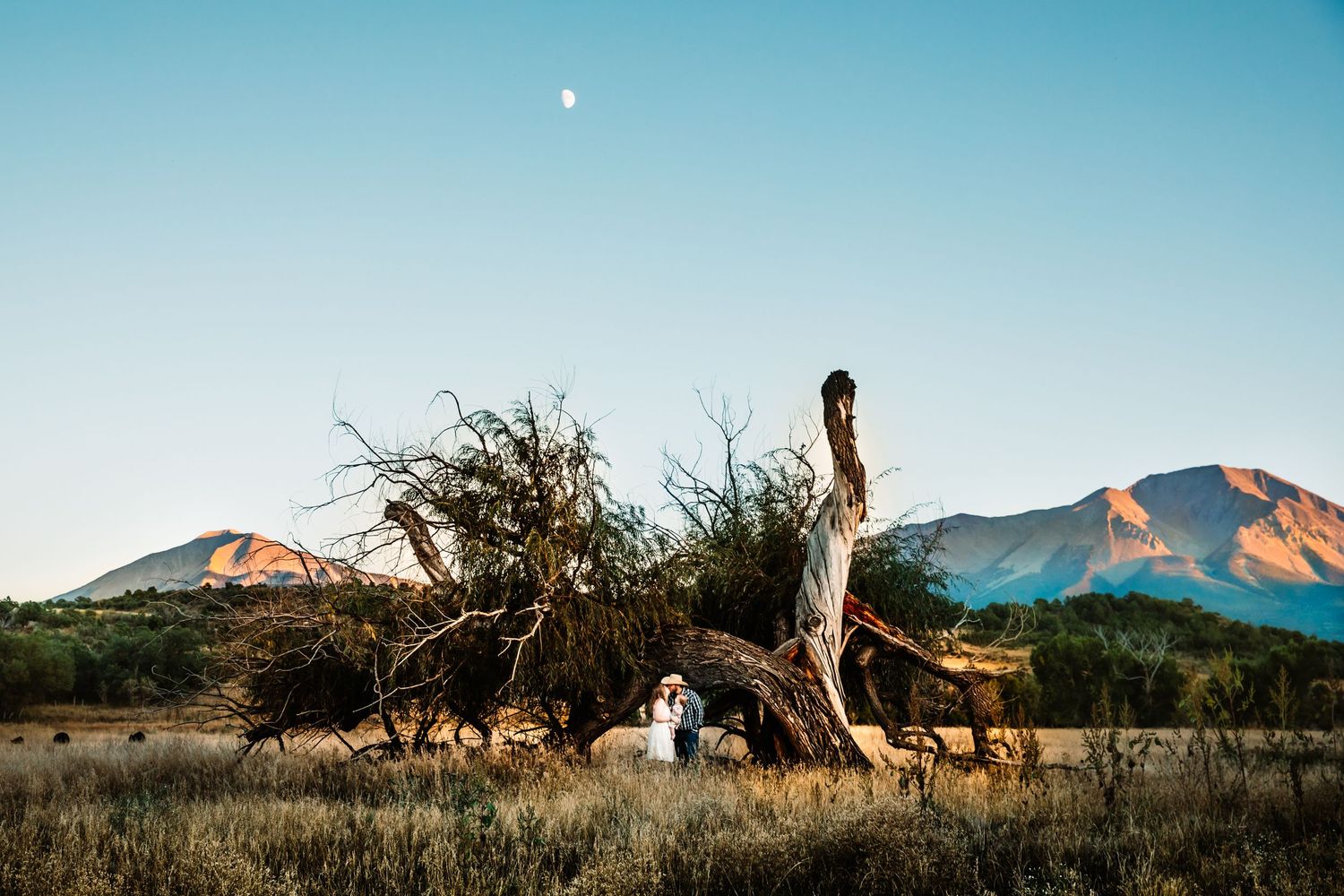 Contact - Adi + Mae Photography