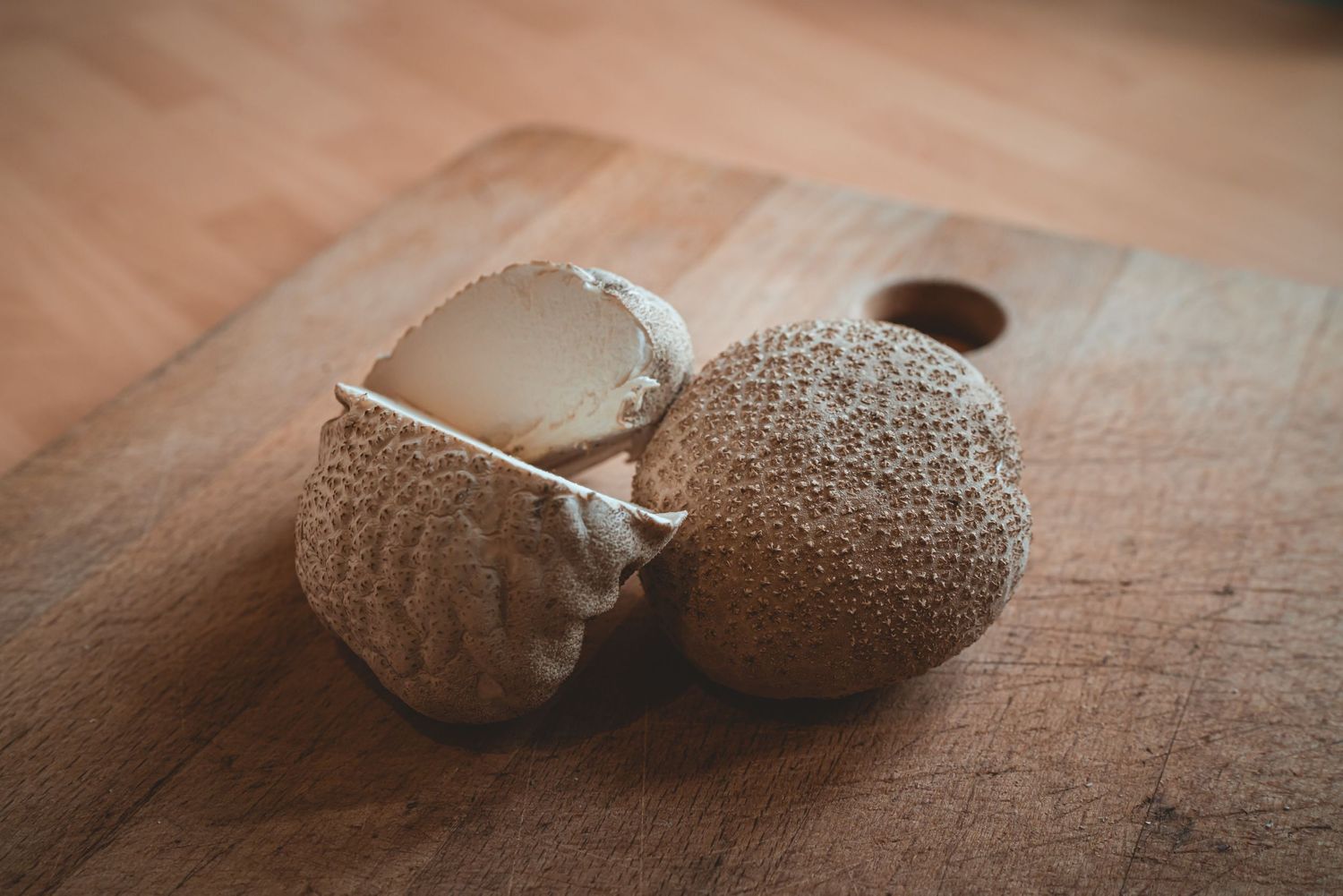 Puffballs - The Grizzly Forager: The Definitive Guide to Foraging with Kids