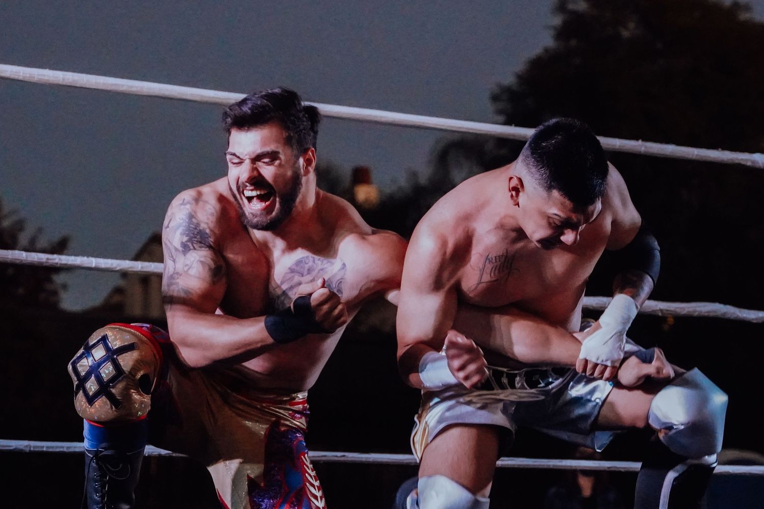 wrestling galleries - Taylor Koch Photography