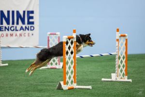 R.N. Rocco Photography