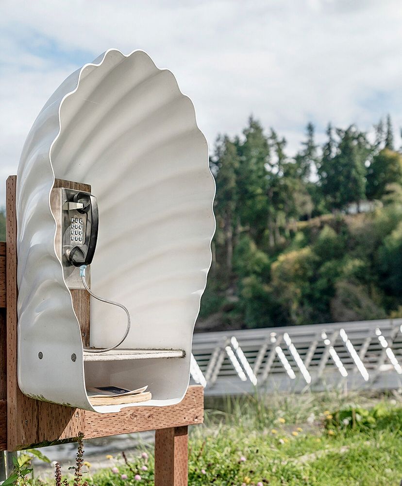 Contact - Mimi Payne Photography