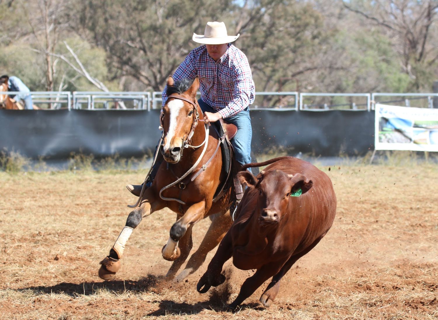 2020 - 2022 Equine Events - GM Photography
