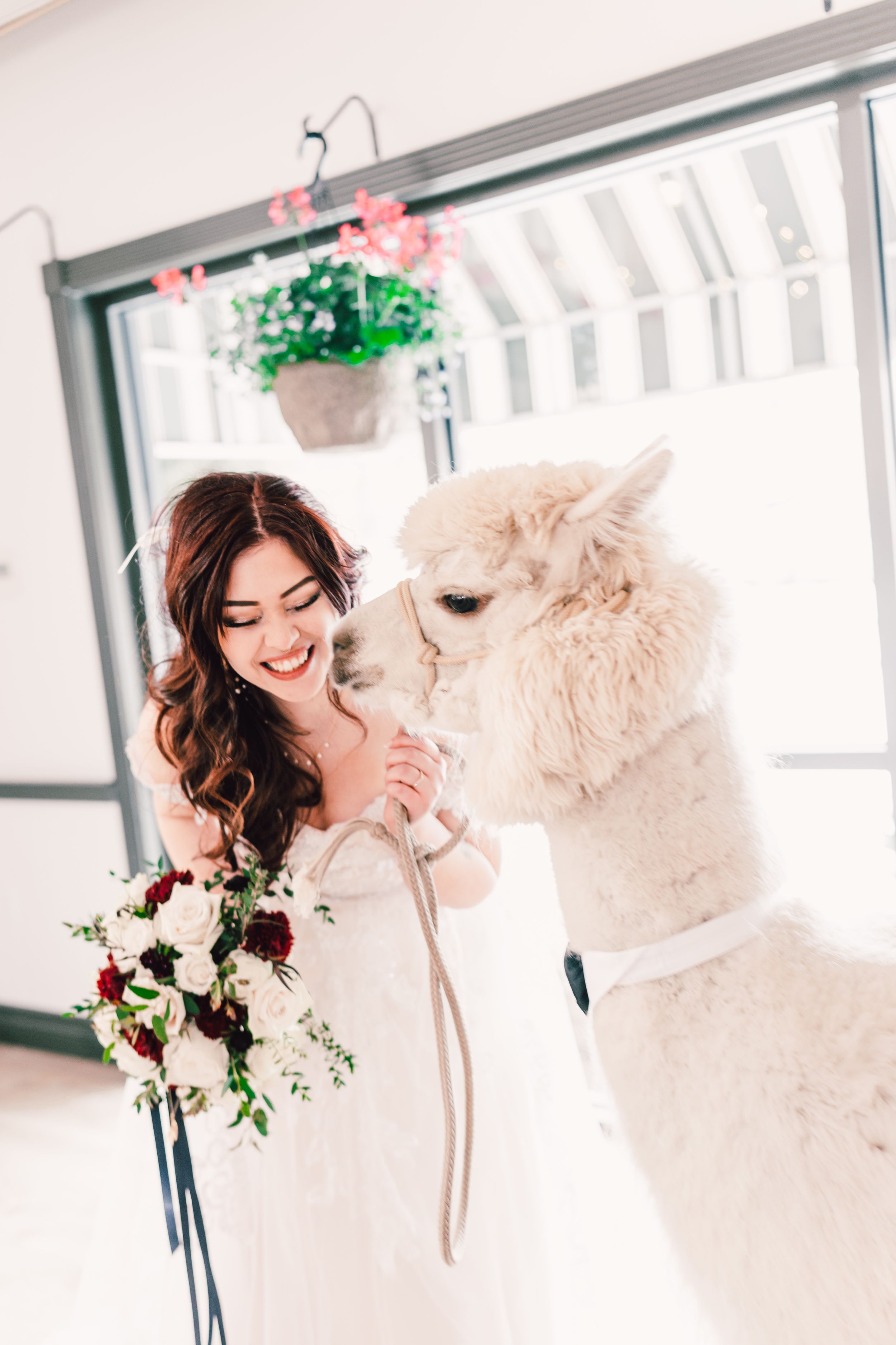 Jessica + Roddy Alpaca Wedding - Peppergrass Ranch