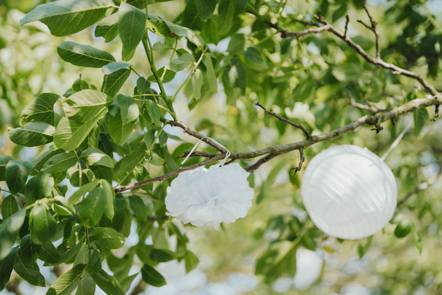 Jeunique Photography