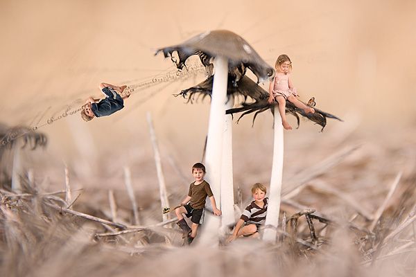 Kim Howells Photography, Kim Howells Photography Training