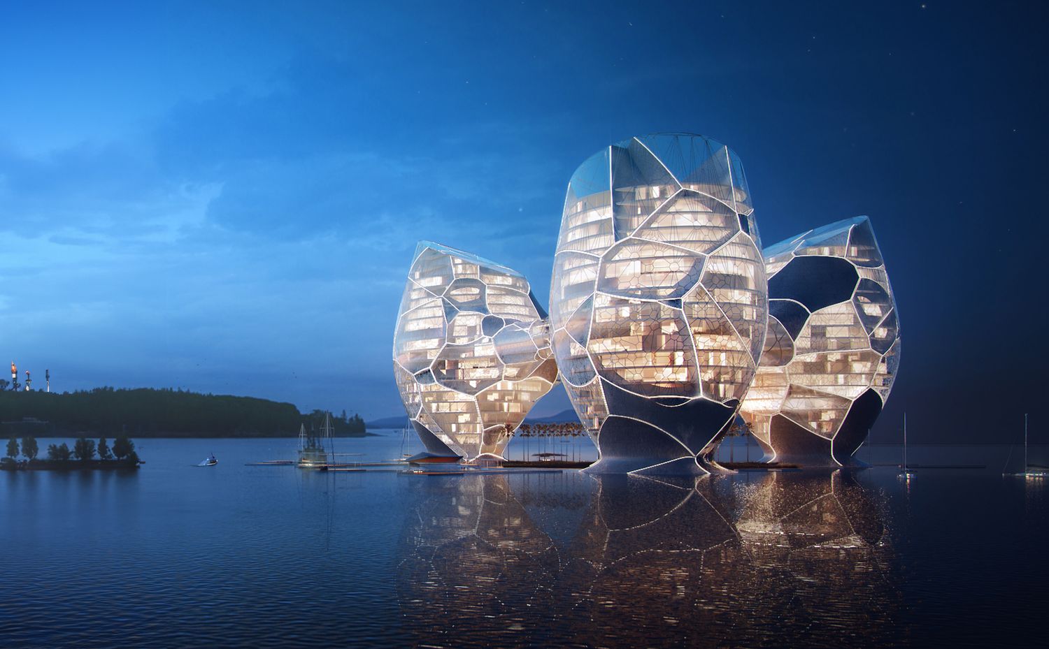 Portfolio - Victoria Litvin