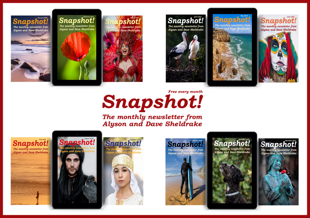 News - Alyson Sheldrake