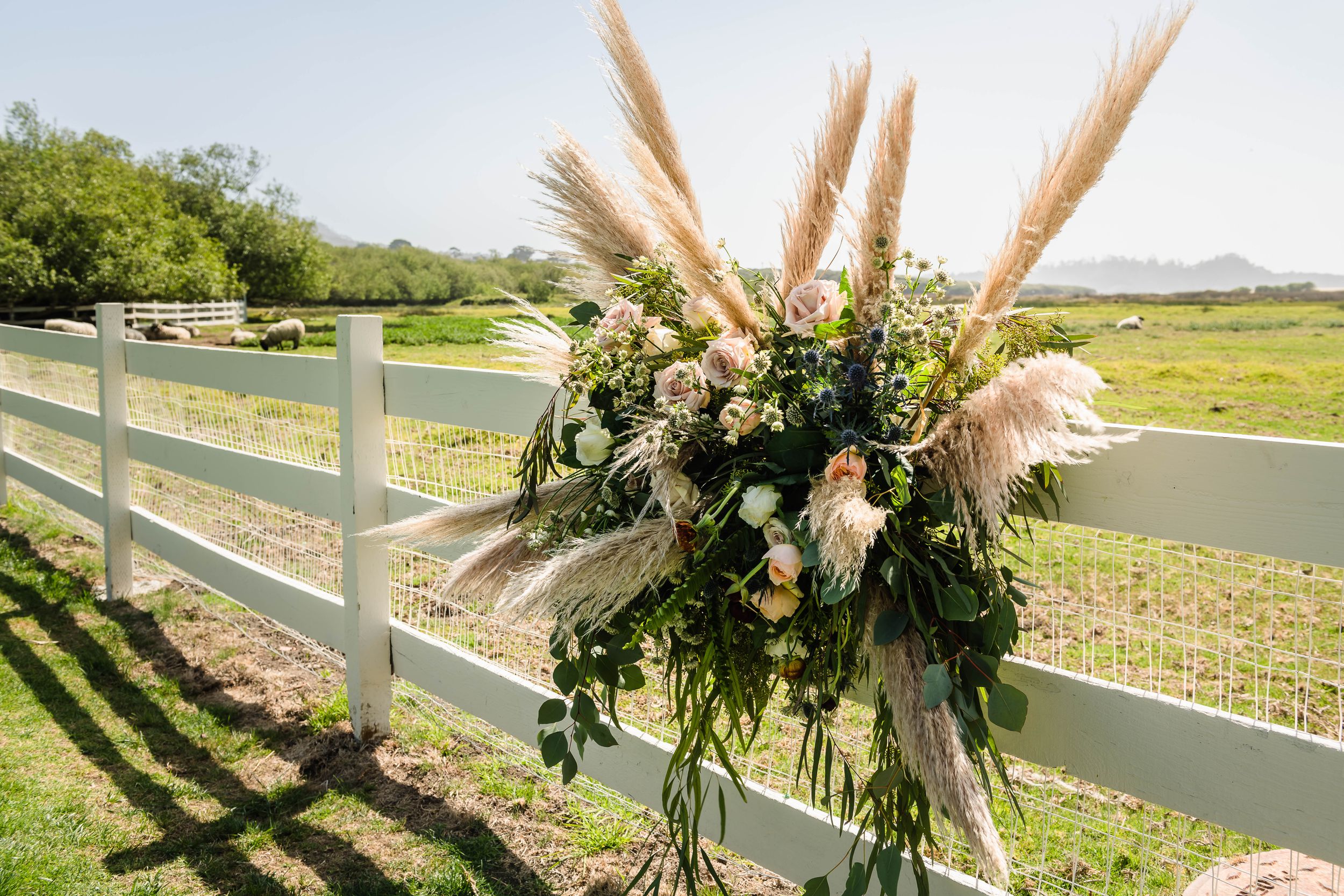 Megan & Alexi's Quirky Carmel Wedding at Mission Ranch - Picturist ...