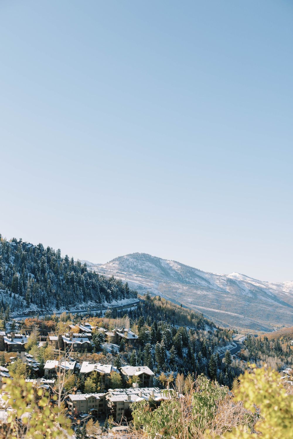 Shannon Elizabeth Photography