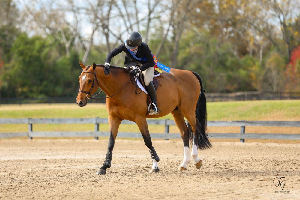 Tyler Graham Photography