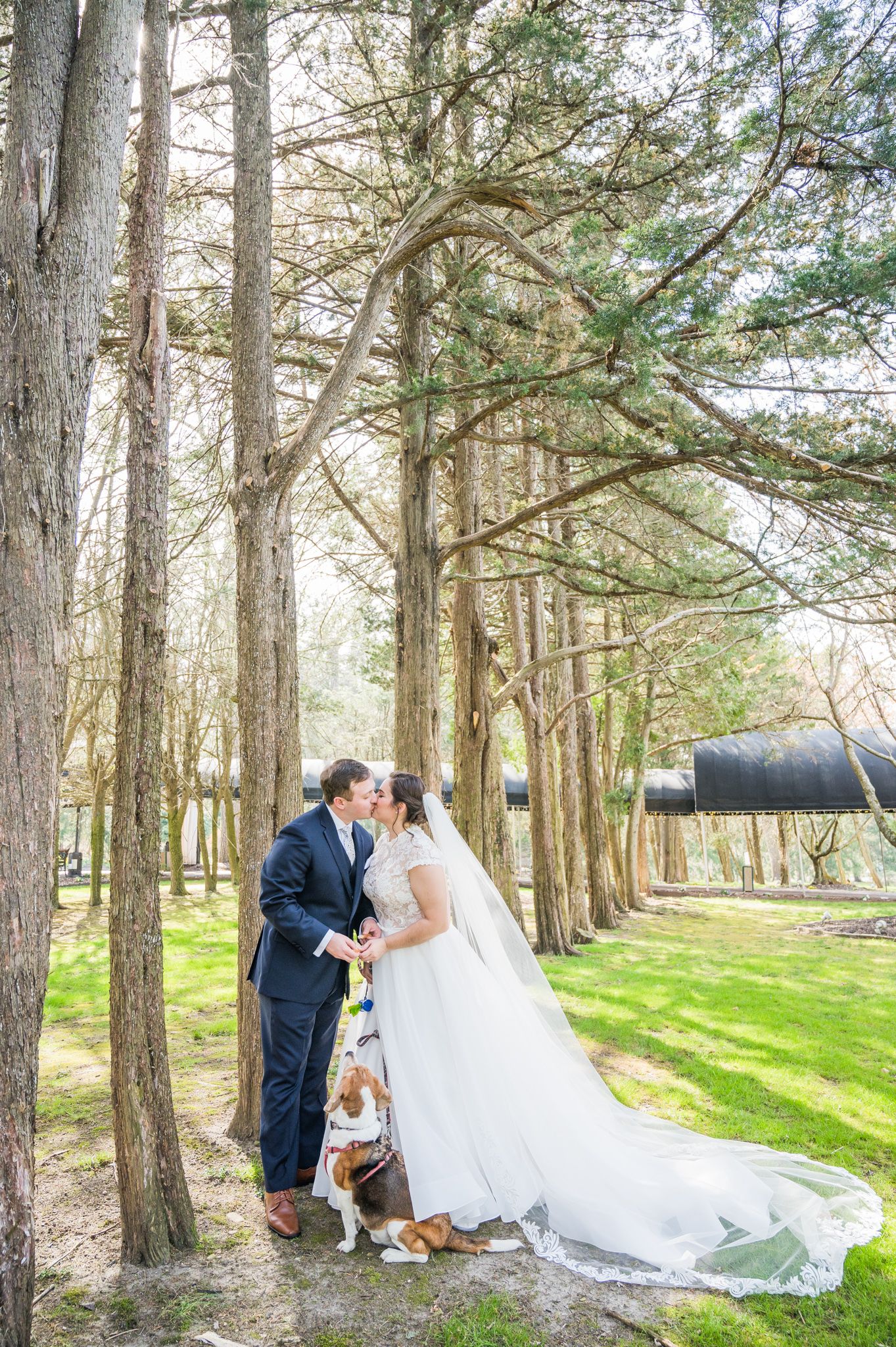 Jennifer & Bryan: A Timeless Wedding at Flowerfield Celebrations ...